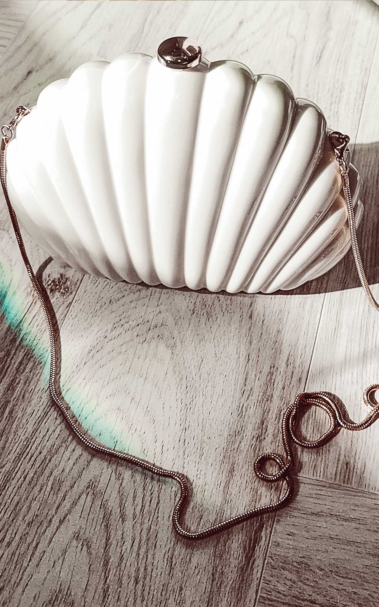 Seashell Iconic Clutch Bag Acrylic Ivory – HOUSE OF MAGUIE