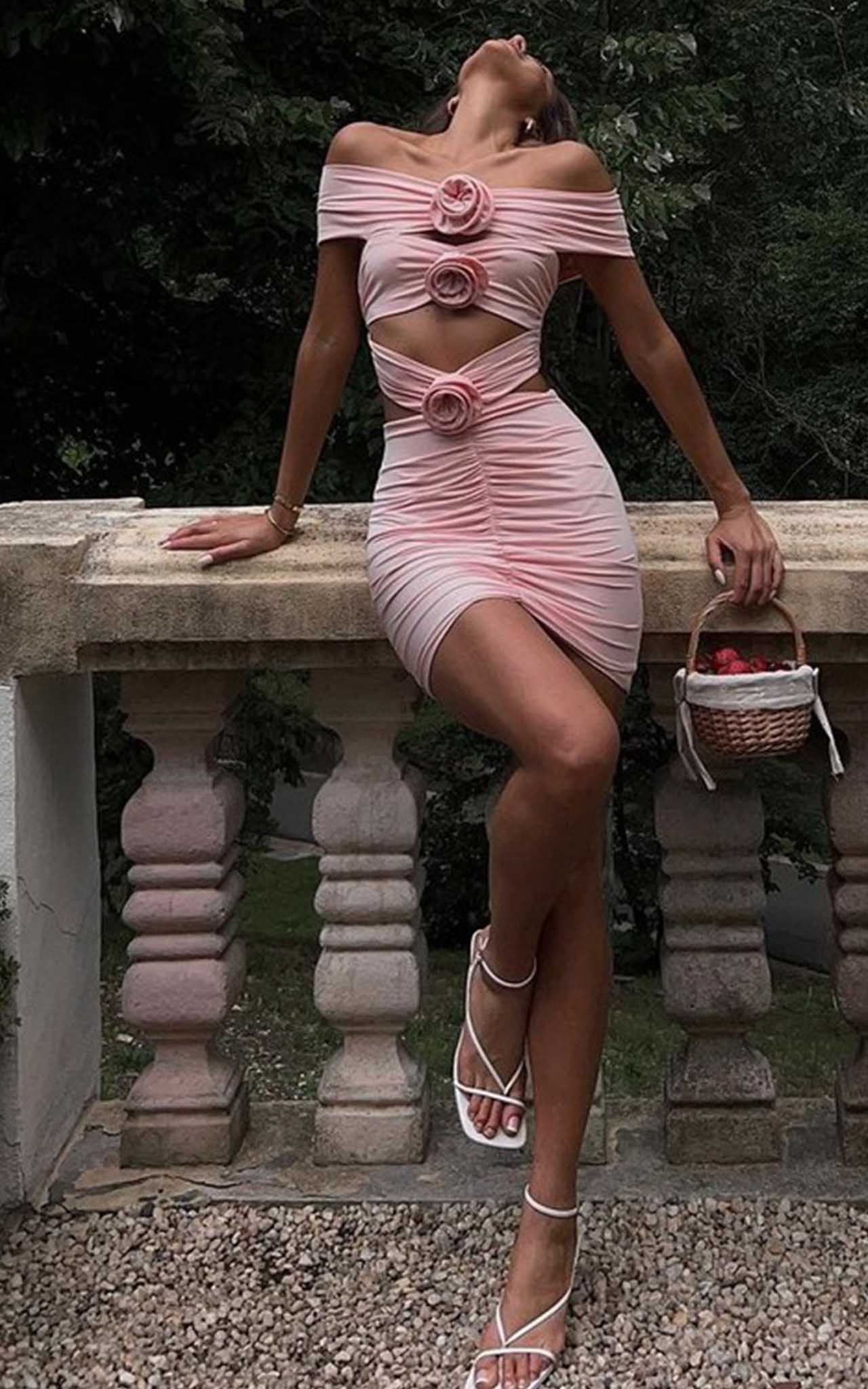 Chaylynn Peach Off Shoulder With Adorned Roses Detailed Ruched Dress – HOUSE OF MAGUIE